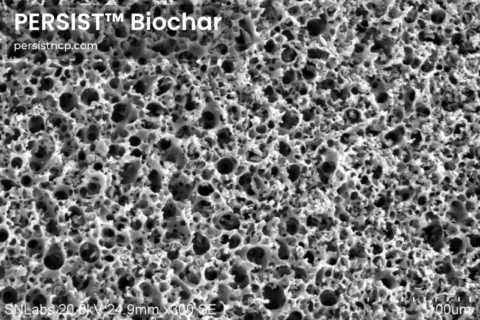 Biochar Benefits - Persist