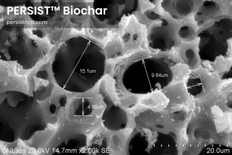 Biochar Benefits - Persist